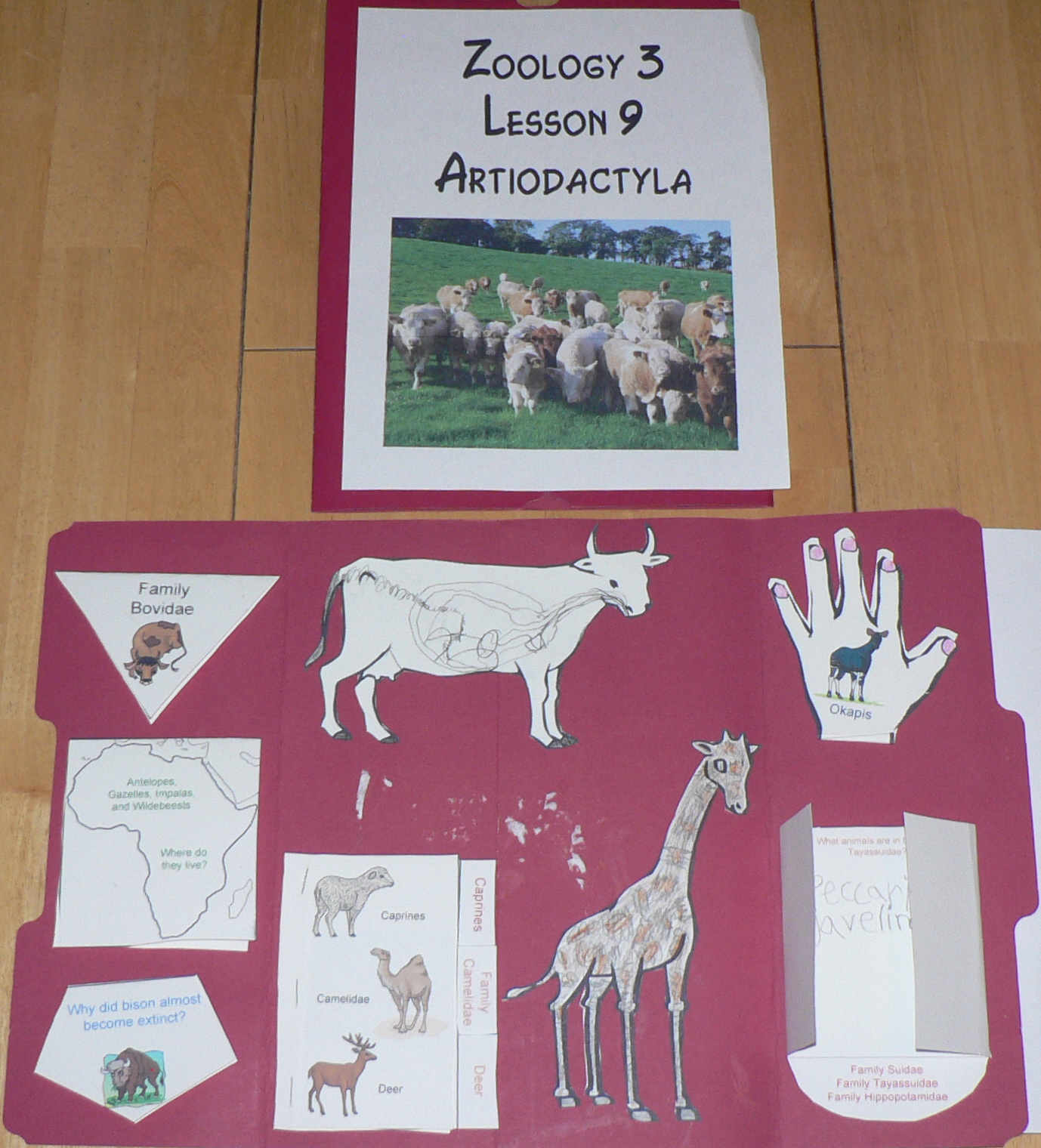 Walking by the Way: Our Zoo 3 Lapbooks by A Journey Through Learning