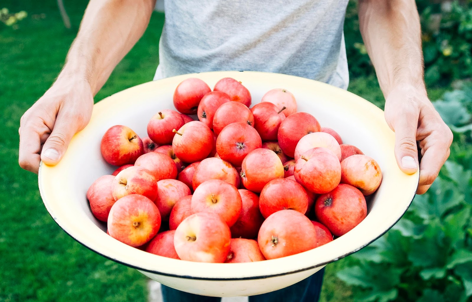 Exotic Fruits! How About Regular Fruits? | Daily Fruit Supplement