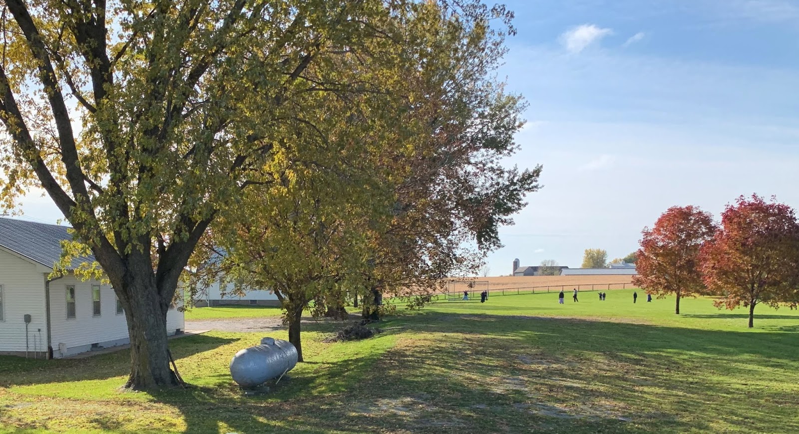 Amish Horses: Amish Farm Fall Tour