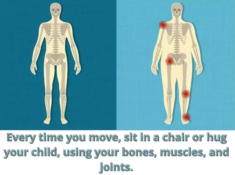 The Relationship Between Bones Muscles And Joints Healthy Life The Relationship Between Bones Muscles And Joints Healthy Life