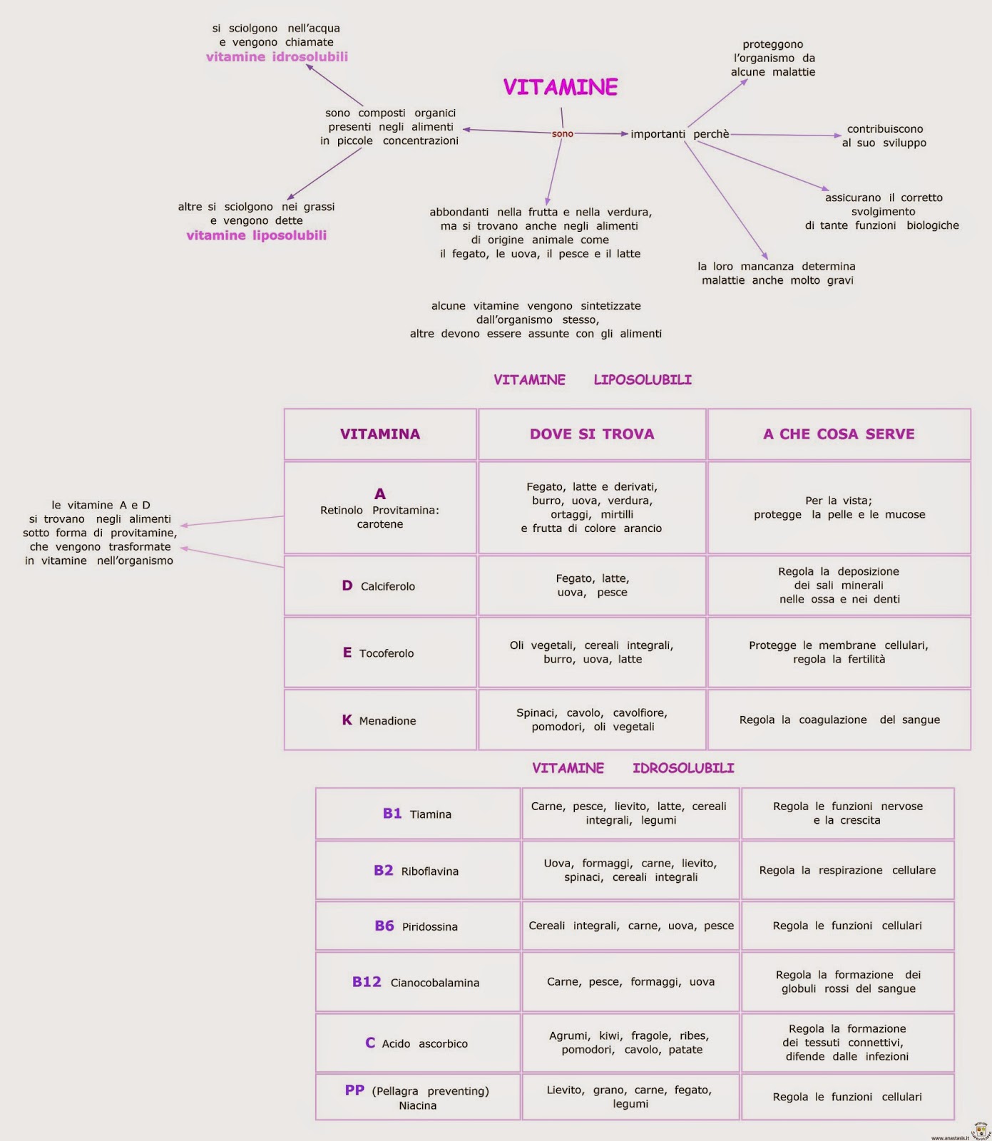 Paradiso delle mappe: Vitamine
