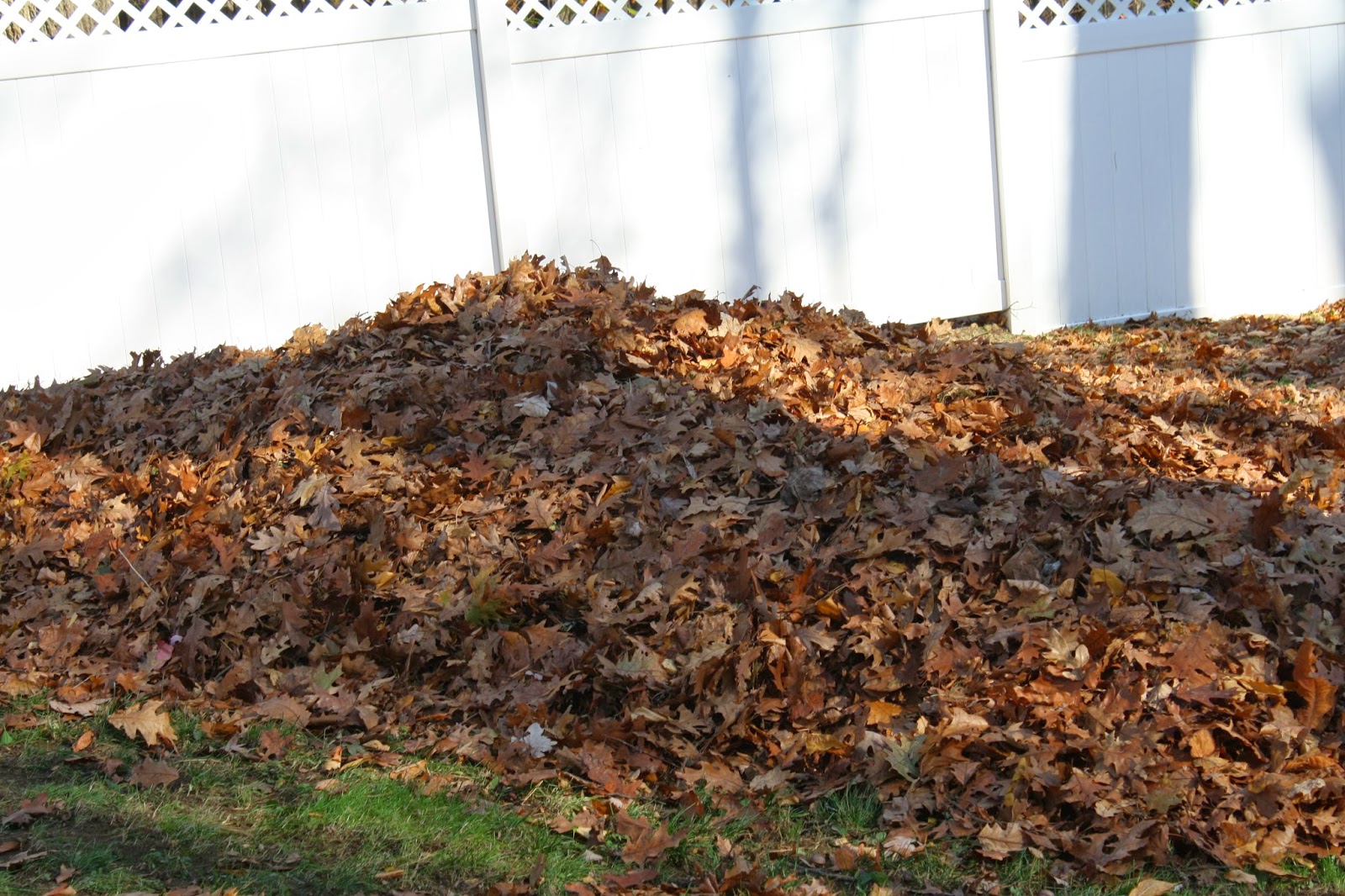 Our Family, Our Life, Our Journey!!: FALL + LEAF PILE = FUN!!!