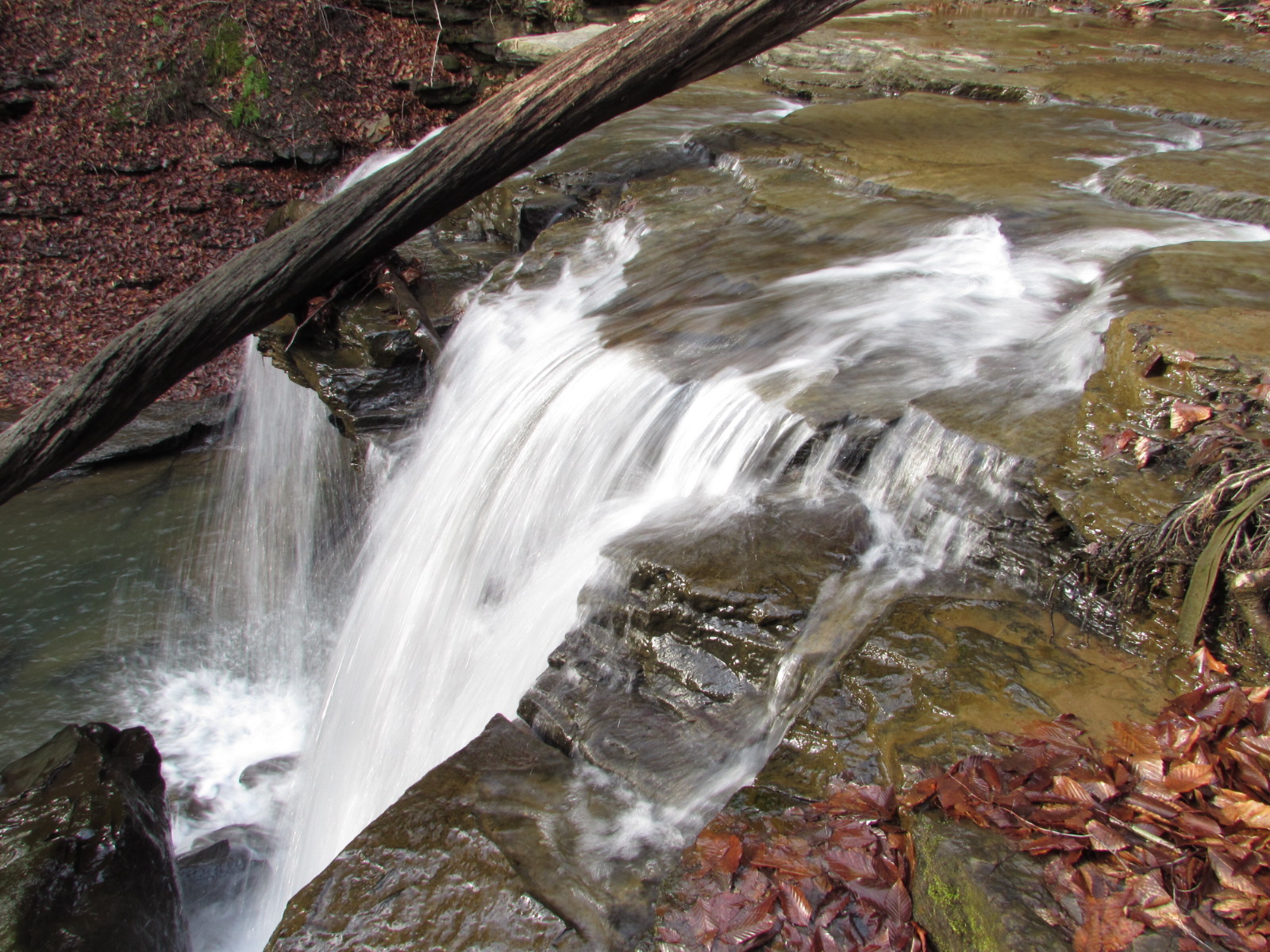 Roaring Run Natural Area, Apollo, PA | Interesting Pennsylvania and Beyond