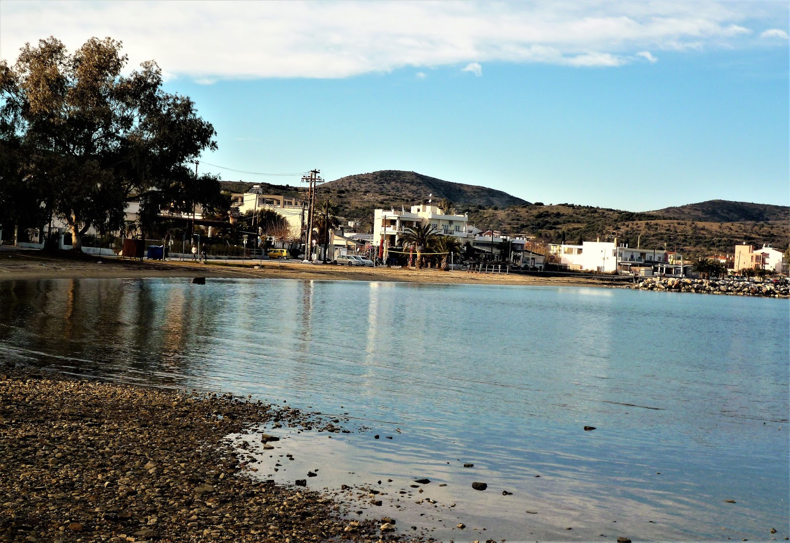 ☮ ΒΟΛΟΣ ΠΗΛΙΟ ΜΑΓΝΗΣΙΑ : Επεισόδιο στην κοπή πίτας του Συλλόγου Ν ...