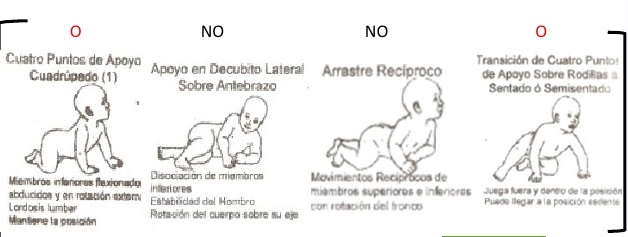 Cuidados Pediátricos y Neonatales: Evaluación del desarrollo motor ...