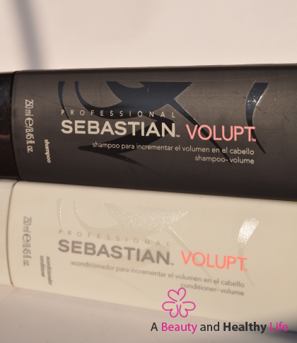 apretón tolerancia núcleo champu sebastian volumen Ordinario marco Mes