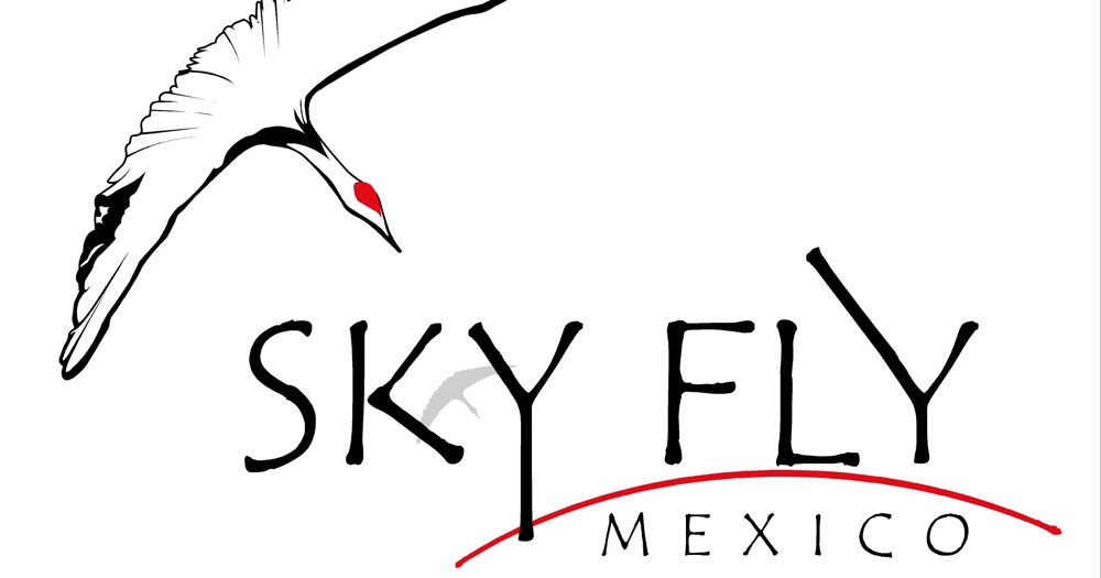 Sky Fly México y Expo TI 2008