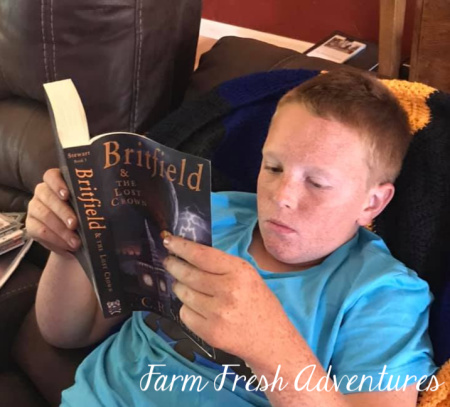 Farm Fresh Adventures: Britfield & the Lost Crown ~ A New Adventure ...