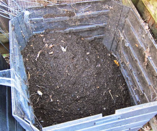 Daphne's Dandelions: Double Digging