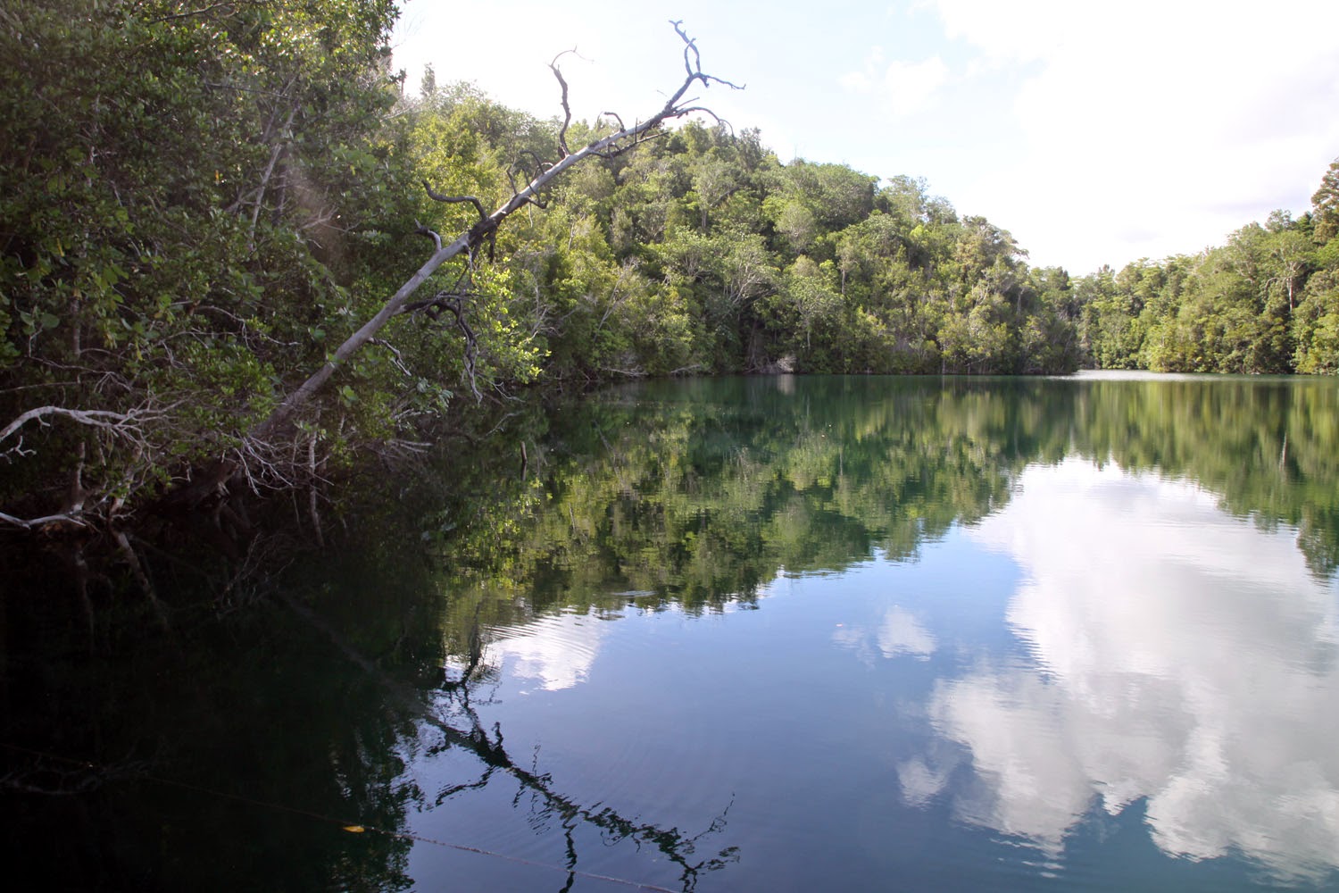 Bagaimana danau ubur-ubur terbentuk? | Beyond Vacation