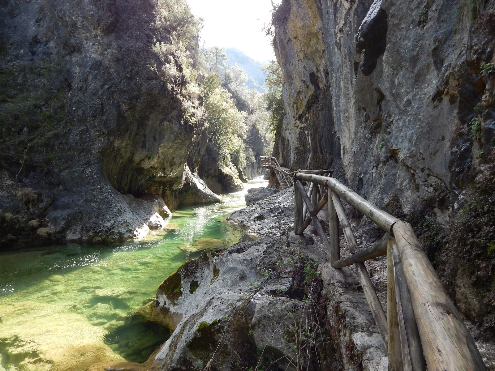 YO CAMINO: SENDERO RIO BOROSA