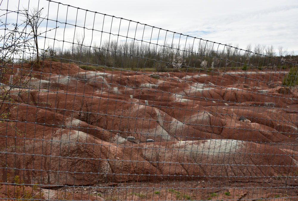 Toronto Grand Prix Tourist - A Toronto Blog: Cheltenham Badlands in a ...
