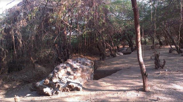 Tamilnadu Tourism: Fort Geldria, Pulicat, Thiruvallur