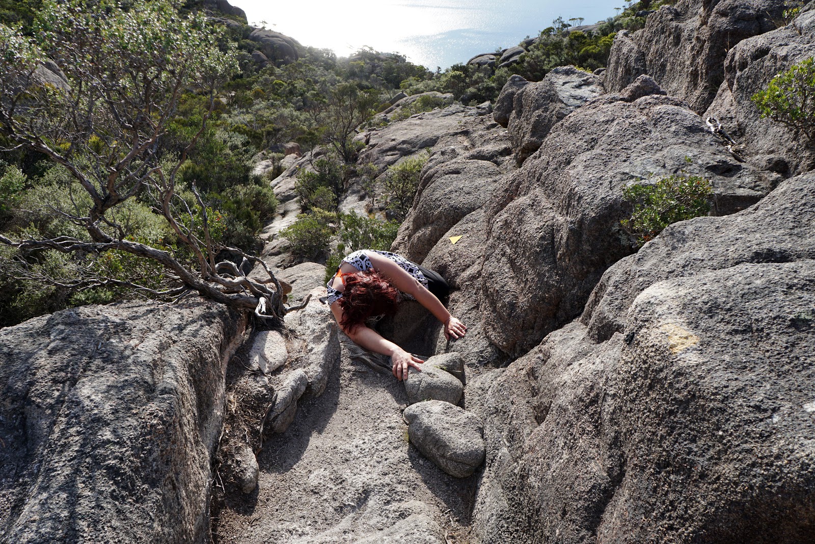 Mt Amos Track (Freycinet National Park) ~ The Long Way's Better
