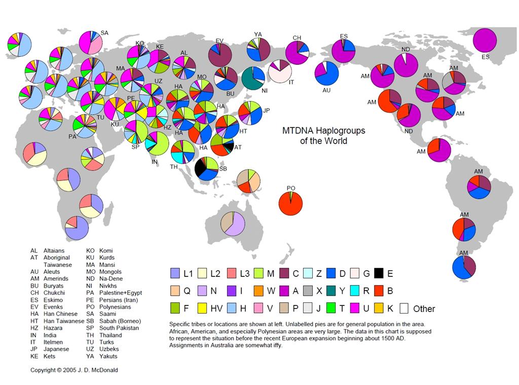 Δημήτρης Λιθοξόου: Το DNA των «Ελλήνων»