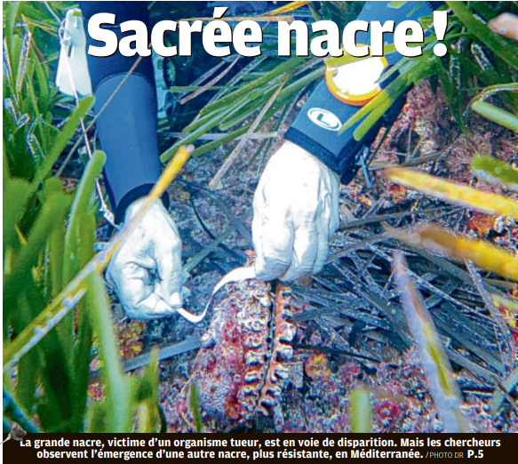 LE CORMORAN. : SCIENCES et TECHNIQUES.