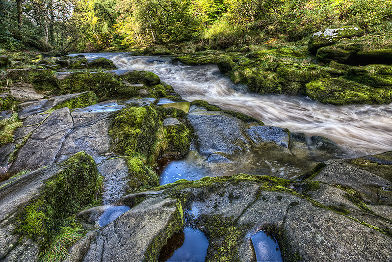 The Strid at Bolton Abbey