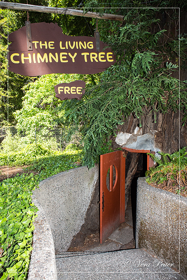 Artifactum ver@bilis Blog: Ja, er lebt noch ...