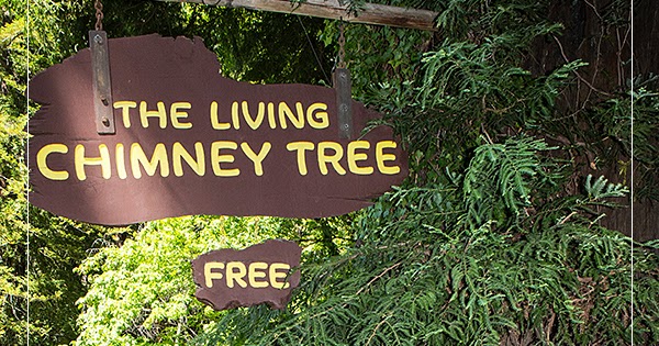 Artifactum ver@bilis Blog: Ja, er lebt noch ...