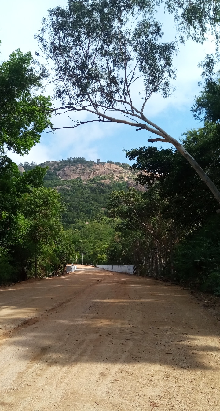 Drive + Trek - Devarayanadurga (DD hills)