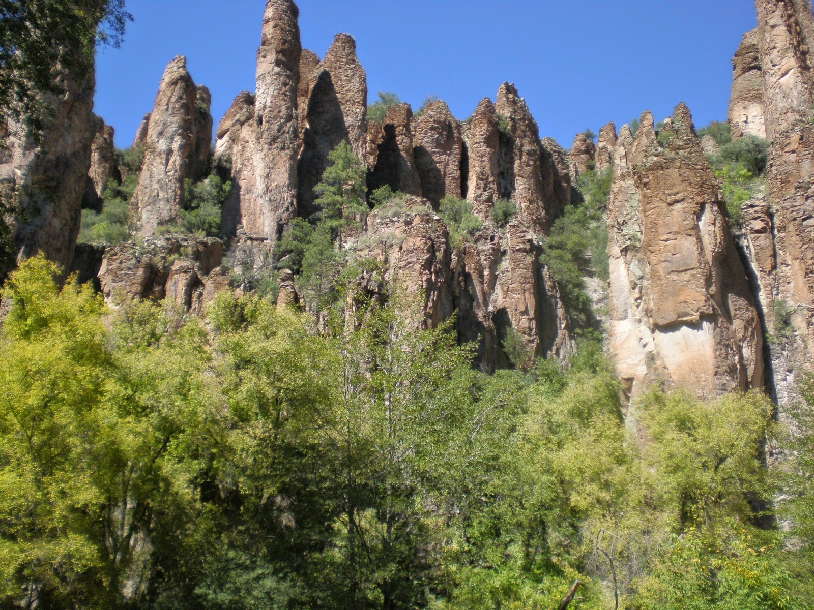 GILA NATIONAL FOREST - ADAM HAYDOCK
