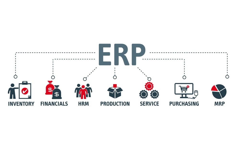What are the different types of ERP?