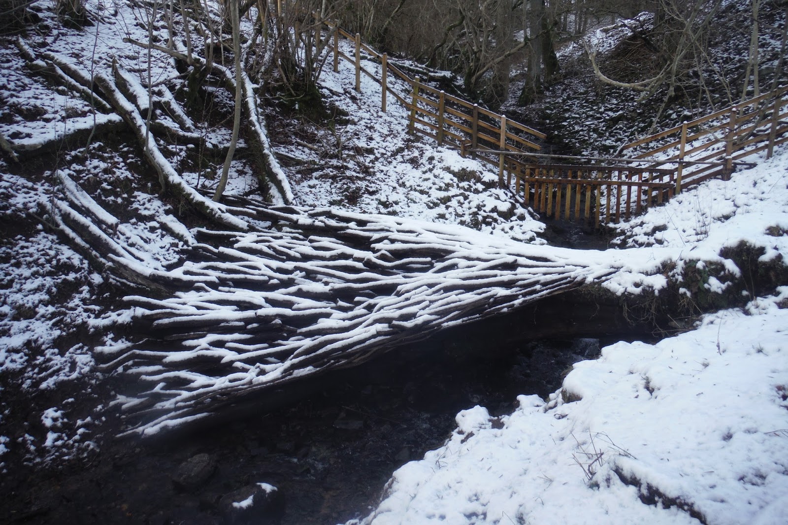 Continuing onwards and upwards, my life, my adventures.