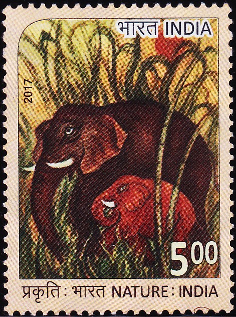 Heritage of India stamps site: Indian nature wild animal wildlife ...