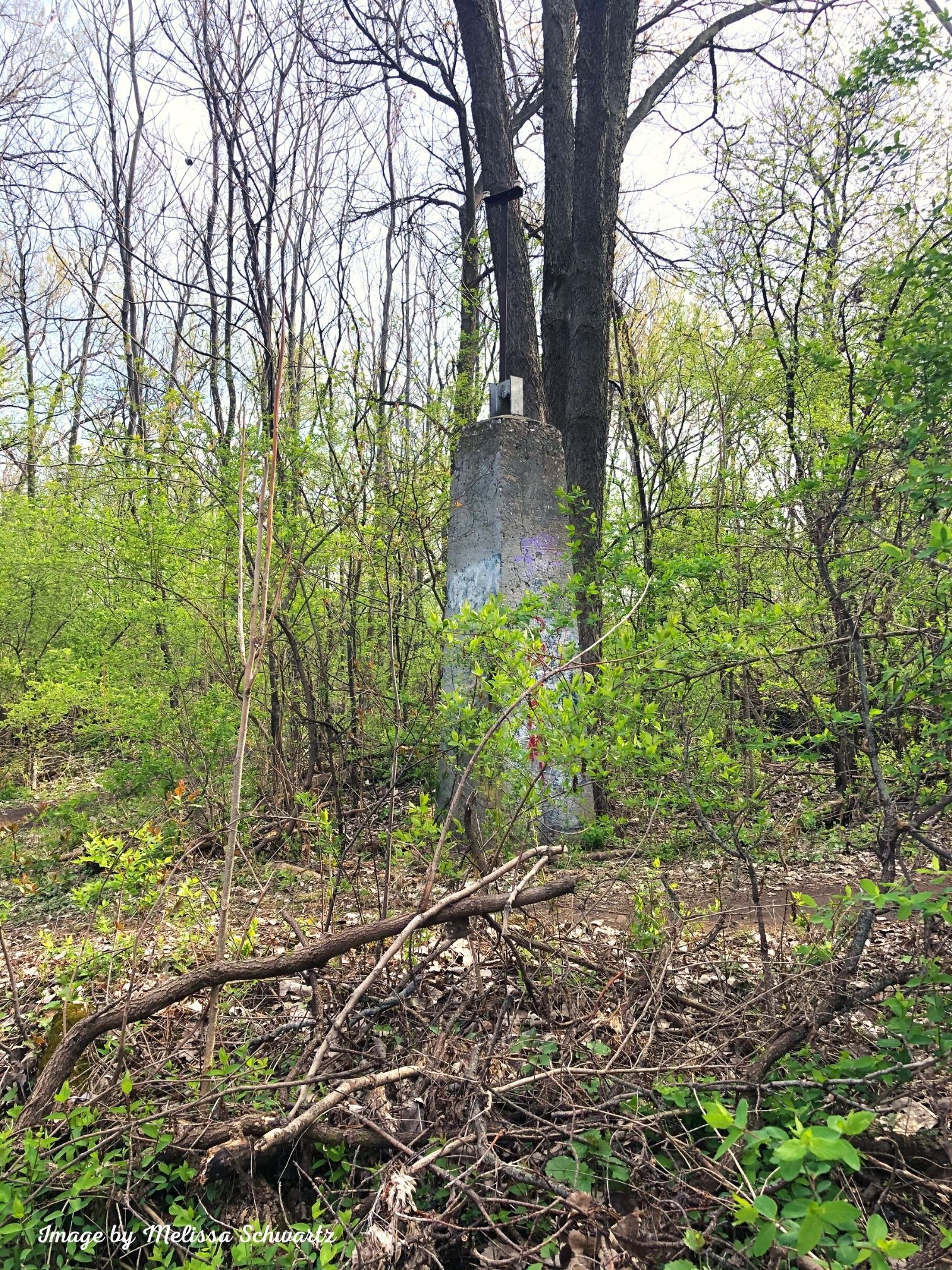 A Little Time and a Keyboard: Moline's Sylvan Island Exemplifies ...