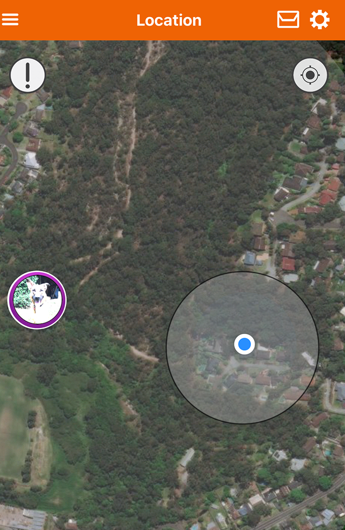 Petrek 3G GPS Pet Tracker - Review | Australian Dog Lover