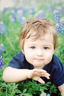 Emily Schelling Photography: Bluebonnet Beauty - Waco, TX