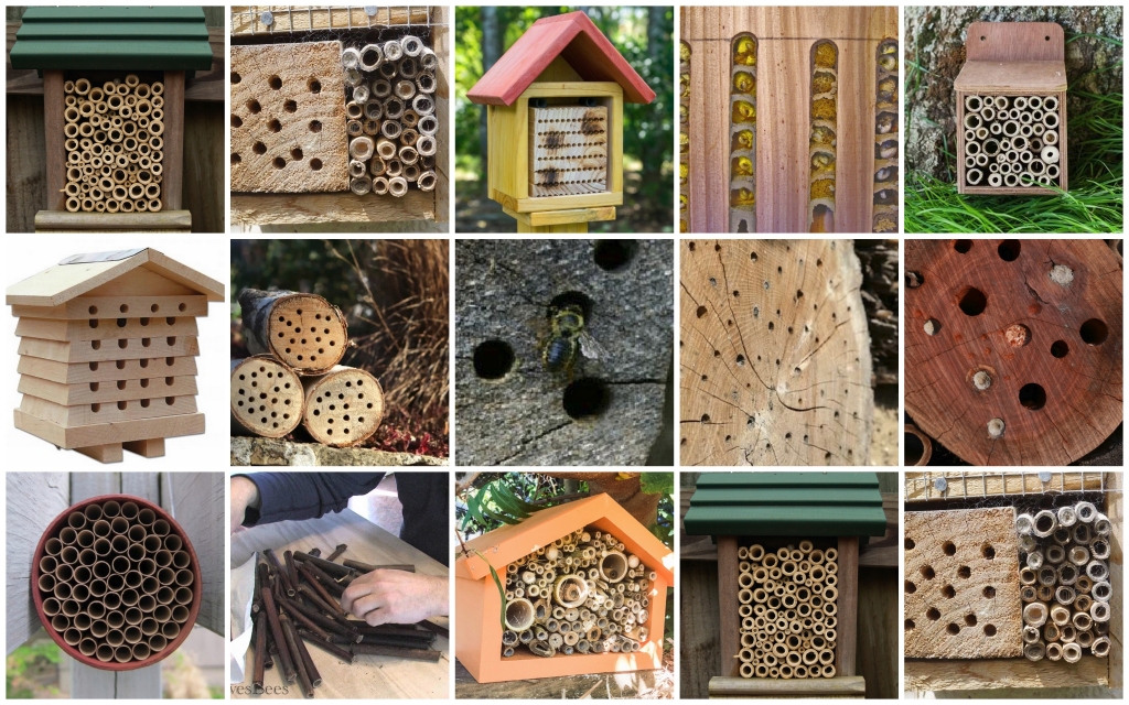 NestBoxTech: How to make a Solitary Bee Box