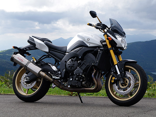 こんなカスタムはどうでしょう？プレストコーポレーション版 FZ8編 ~ P＆Aブログ