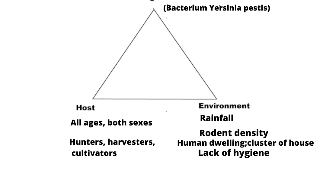 Plague - Symptoms, Causes, Types, Diagnose, Pathophysiology
