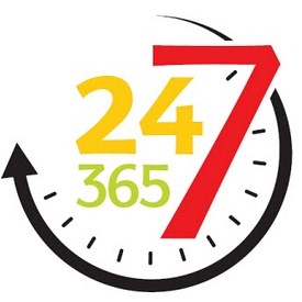 the shopping bug: Do online stores really operate 24/7?