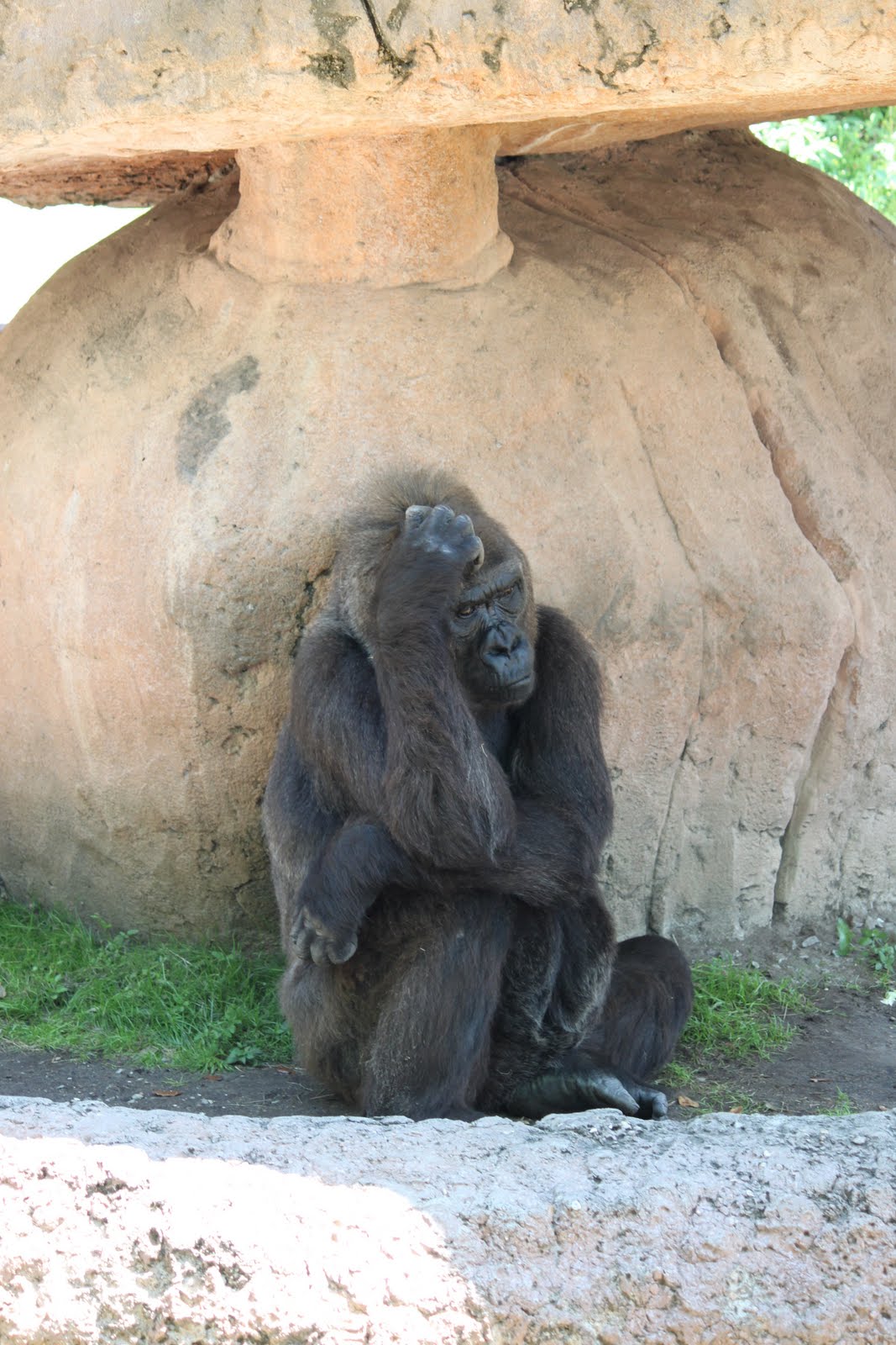 The Robertson Family: New Orleans Zoo