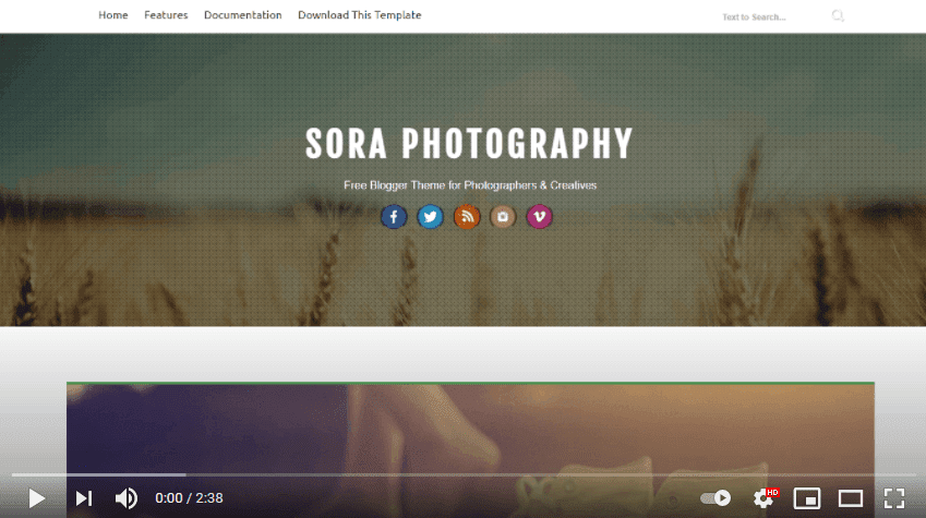 How To Setup Sora Photography Blogger Template - Sora Blogging Tips