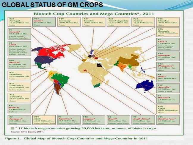 GENETICALLY MODIFIED CROPS AND ITS FUTURE PROSPECTS