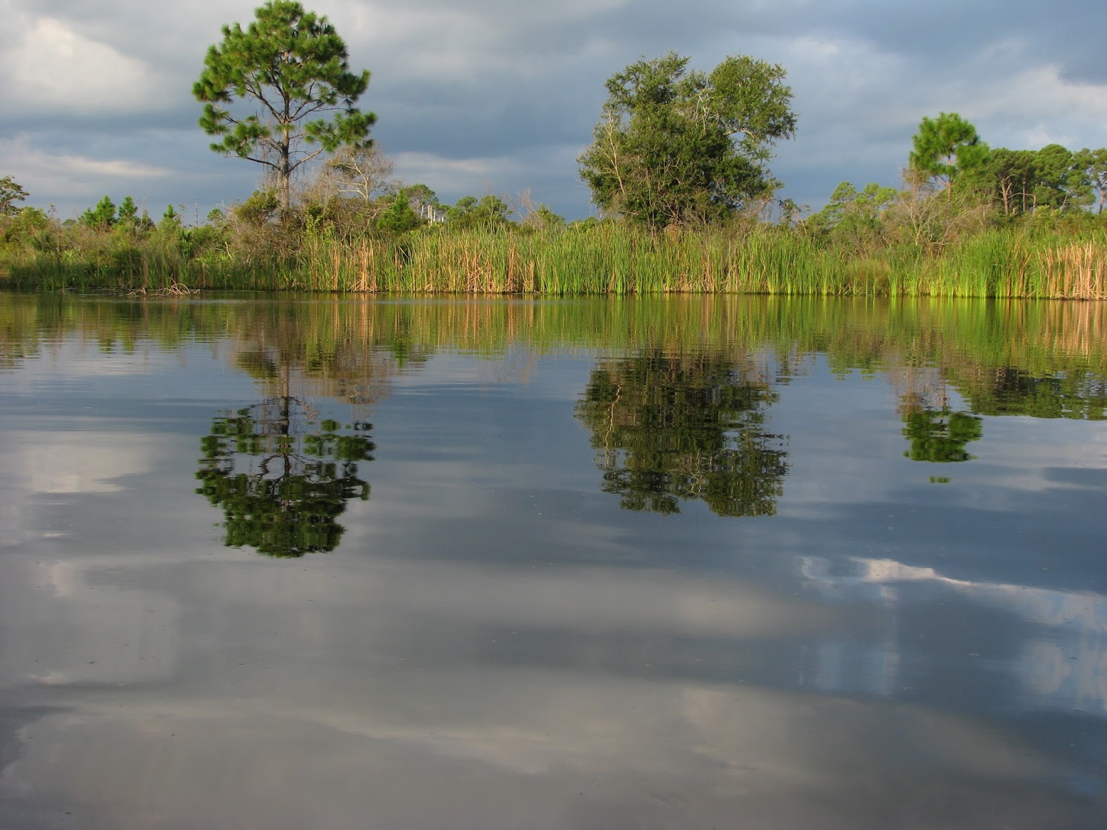 Nature Is Real: Guana State Park & Guana Wildlife Management Area