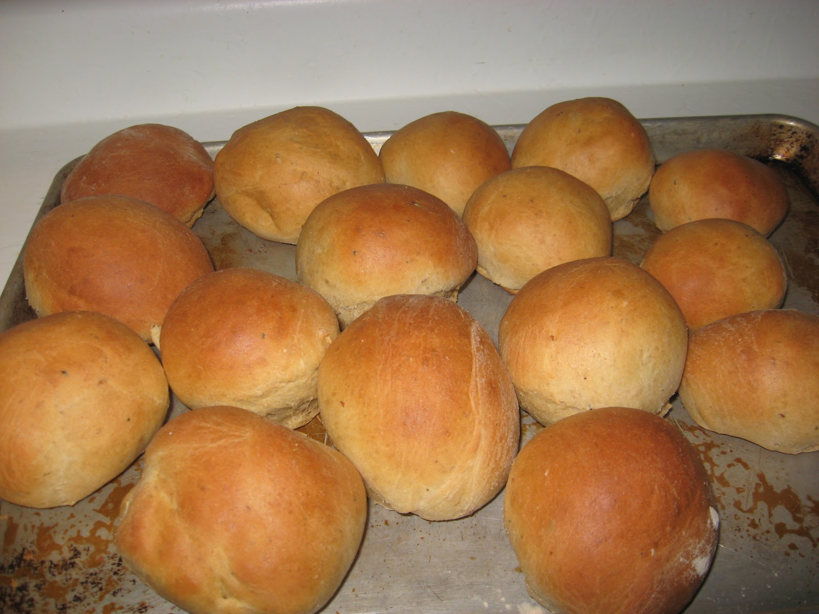 YUMMY Buns