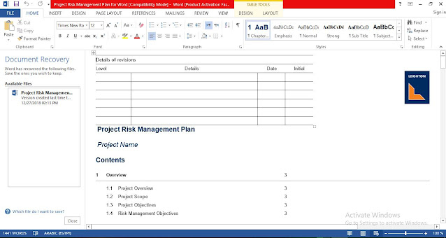 Project Risk Management Plan for Word