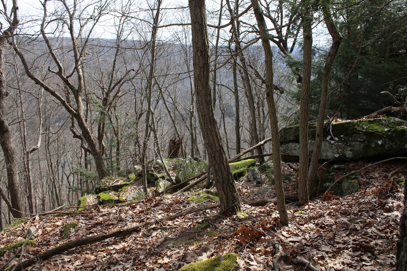 Hiking to Dennison Point Overlook & Allegheny River Gorge at the ...