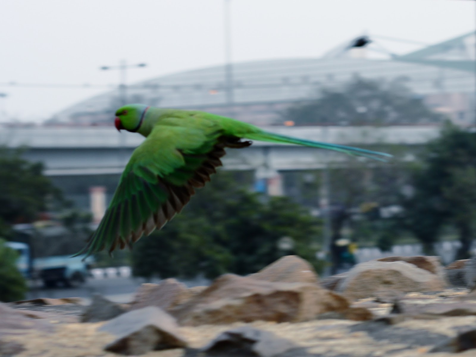 Jacob's Delhi: Ferozabad's Heart