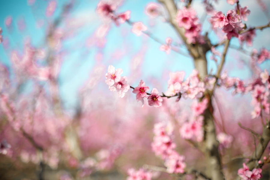 BLOG DE MODA Y LIFESTYLE: AITONA: VESTIDO ROSA Y MAXI CARDIGAN