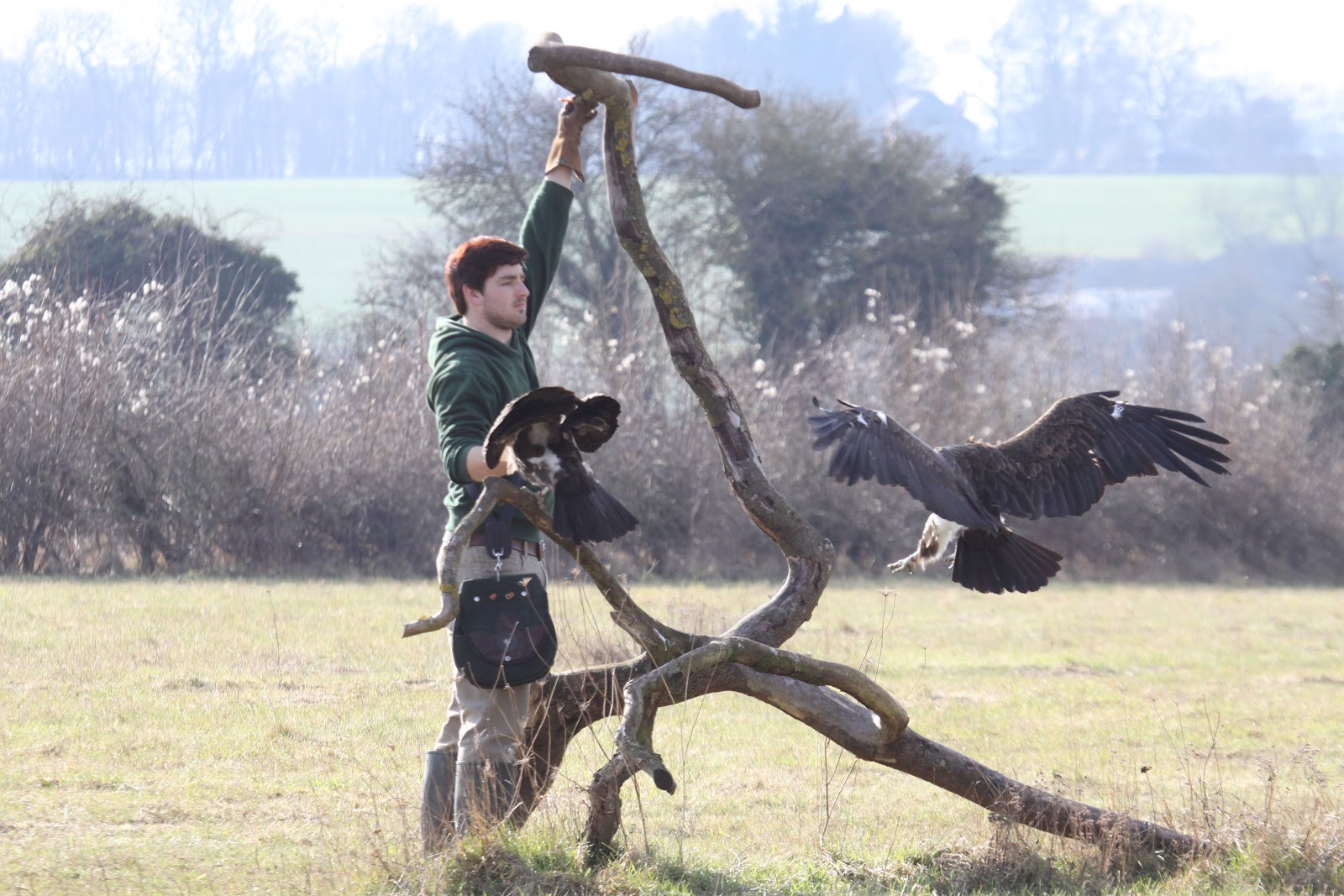 The Bayliss Line: BEN BOOTH AND HIS BIRDS