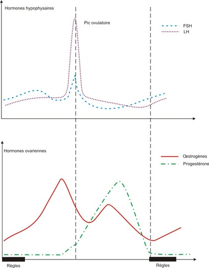 Blog des SVTU: Régulation hormonale chez l'homme et chez la femme.