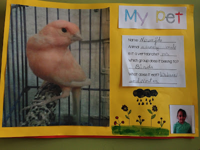 SCIENCE IN THE SCHOOL: October 2015