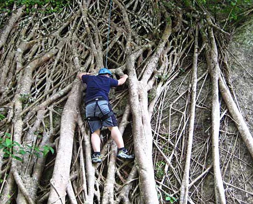 Danao Adventure Tour Package ~ Bohol Island Tour - WoW Bohol Package ...