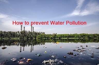 How to prevent water pollution Essay, How can we prevent water pollution
