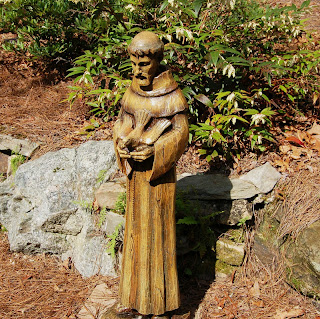 MOUNTAIN MUSINGS: He Watches the Earth and Animals